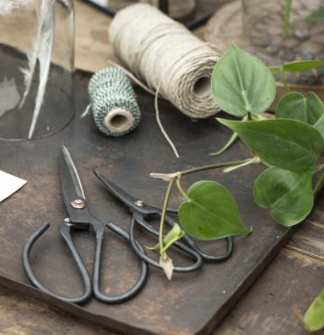 Iron Utility Scissors – Rambling Wild