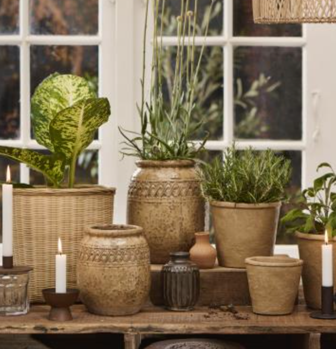 Outdoor Furniture – Rambling Wild